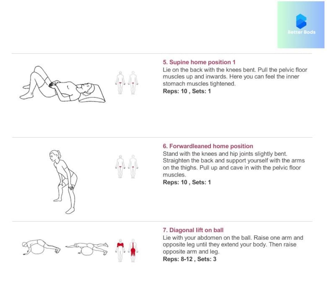 19 Pelvic Floor Girdle Pilates Exercise Swiss Stability Fitball Ball ...