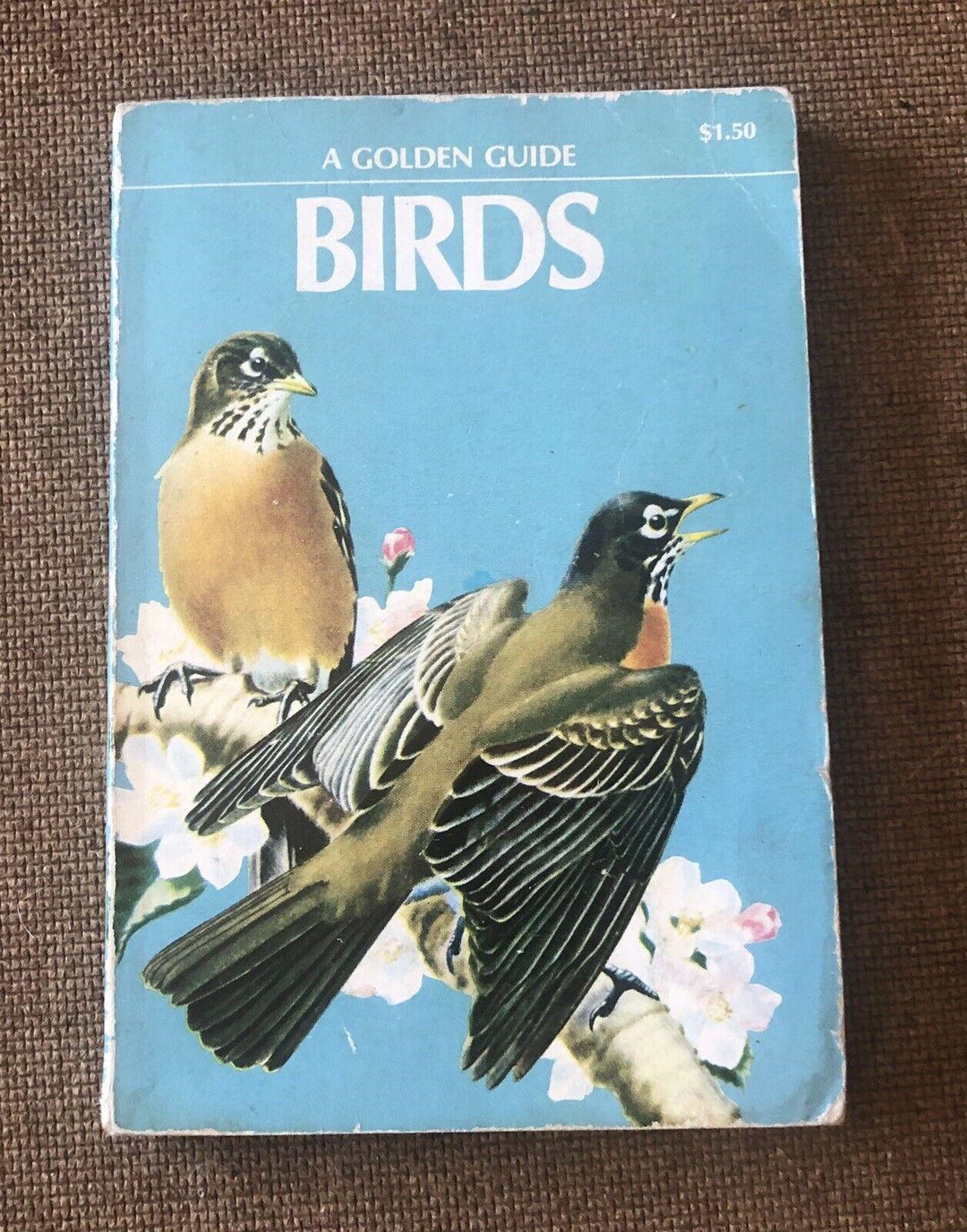 Vintage Bird Watching Species Field Guide A Golden Paperback Book ...