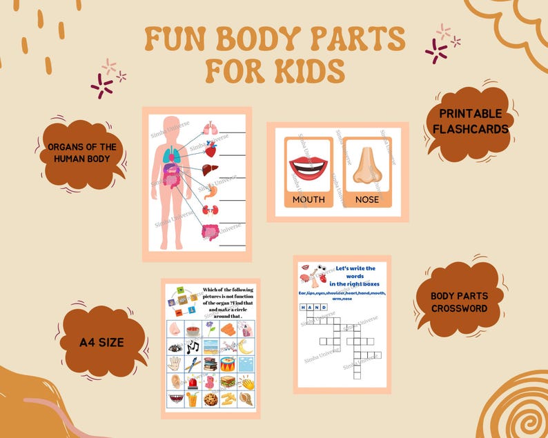 Educational Organ Flashcards, Puzzles& Name Writing Worksheets for ...