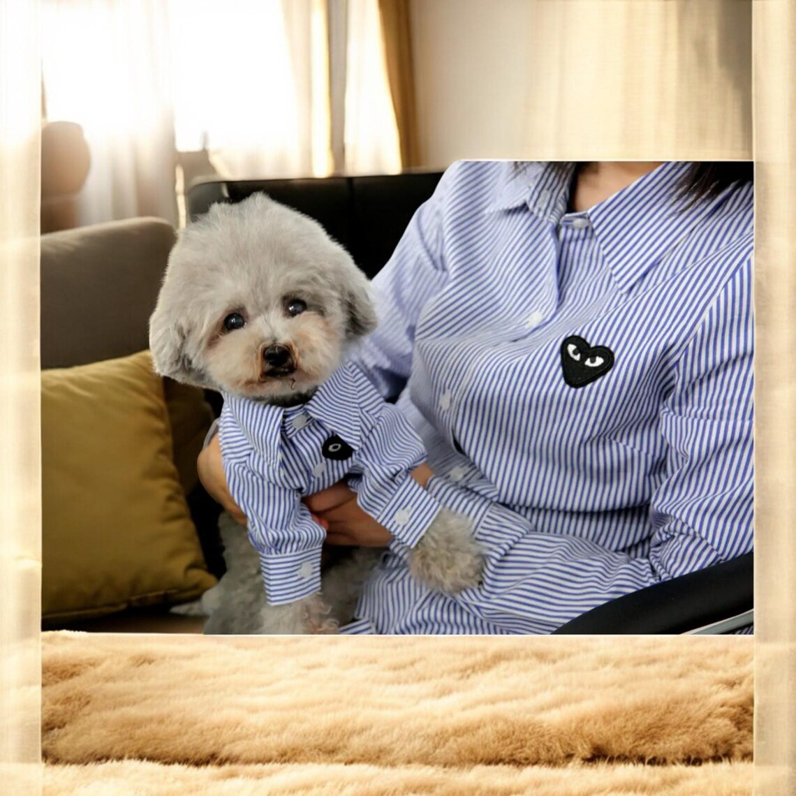 Matching Pet & Owner Cotton Shirts: Spring Autumn Outfit - Etsy