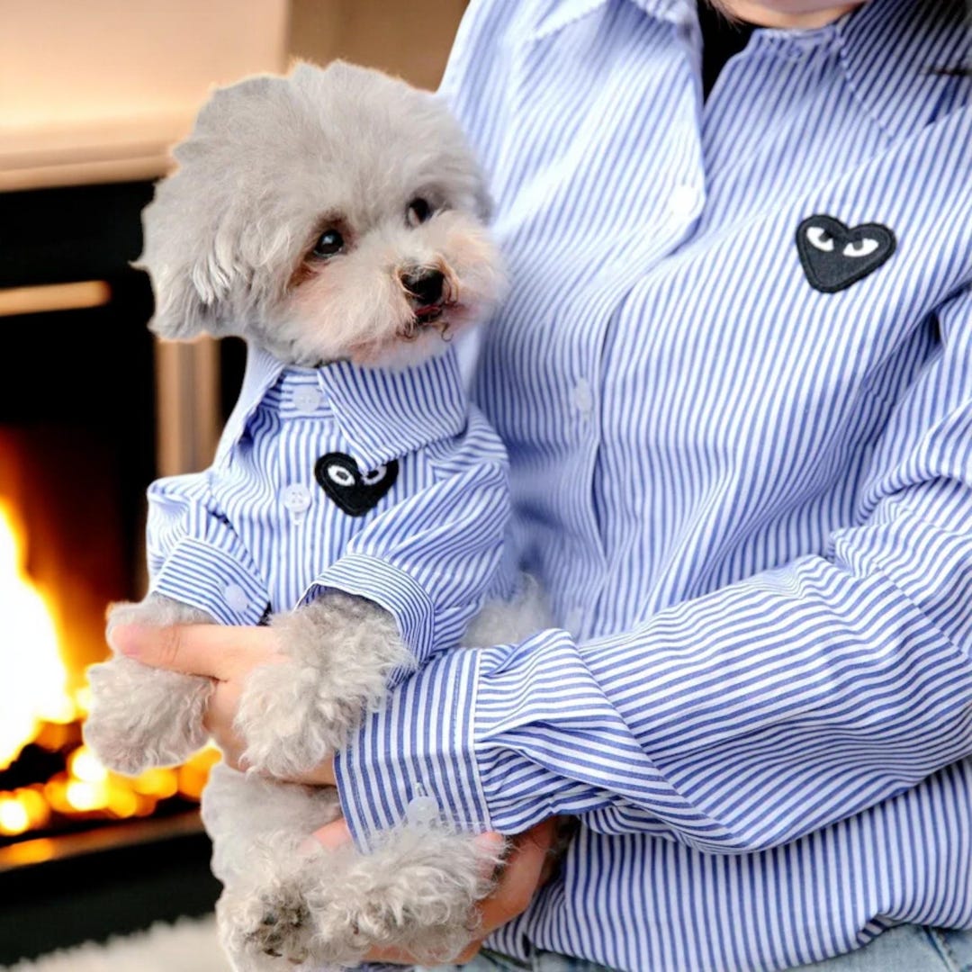 Matching Pet & Owner Cotton Shirts: Spring Autumn Outfit - Etsy