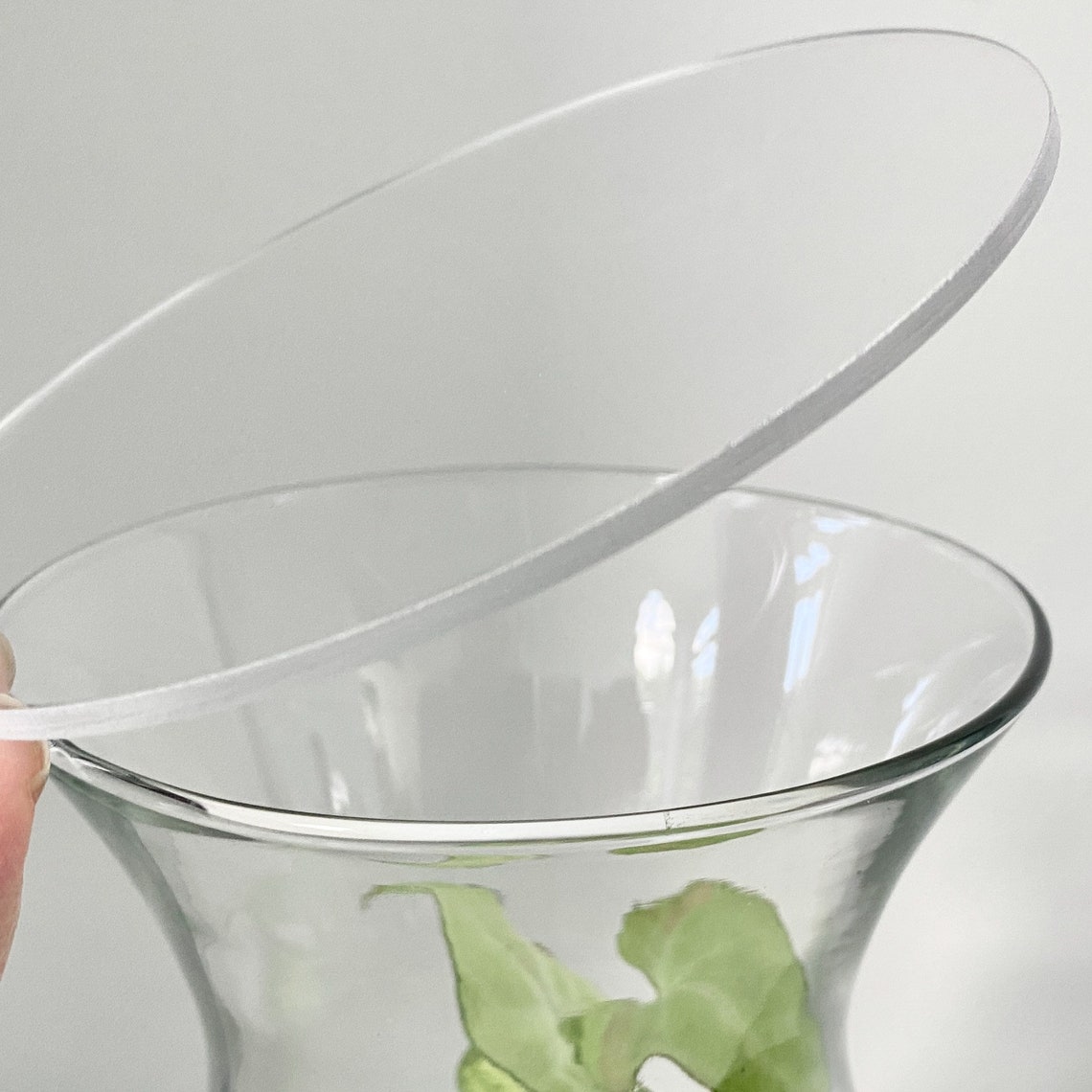 Lid for Closed Terrarium or Mossarium Plant Enclosure - Etsy