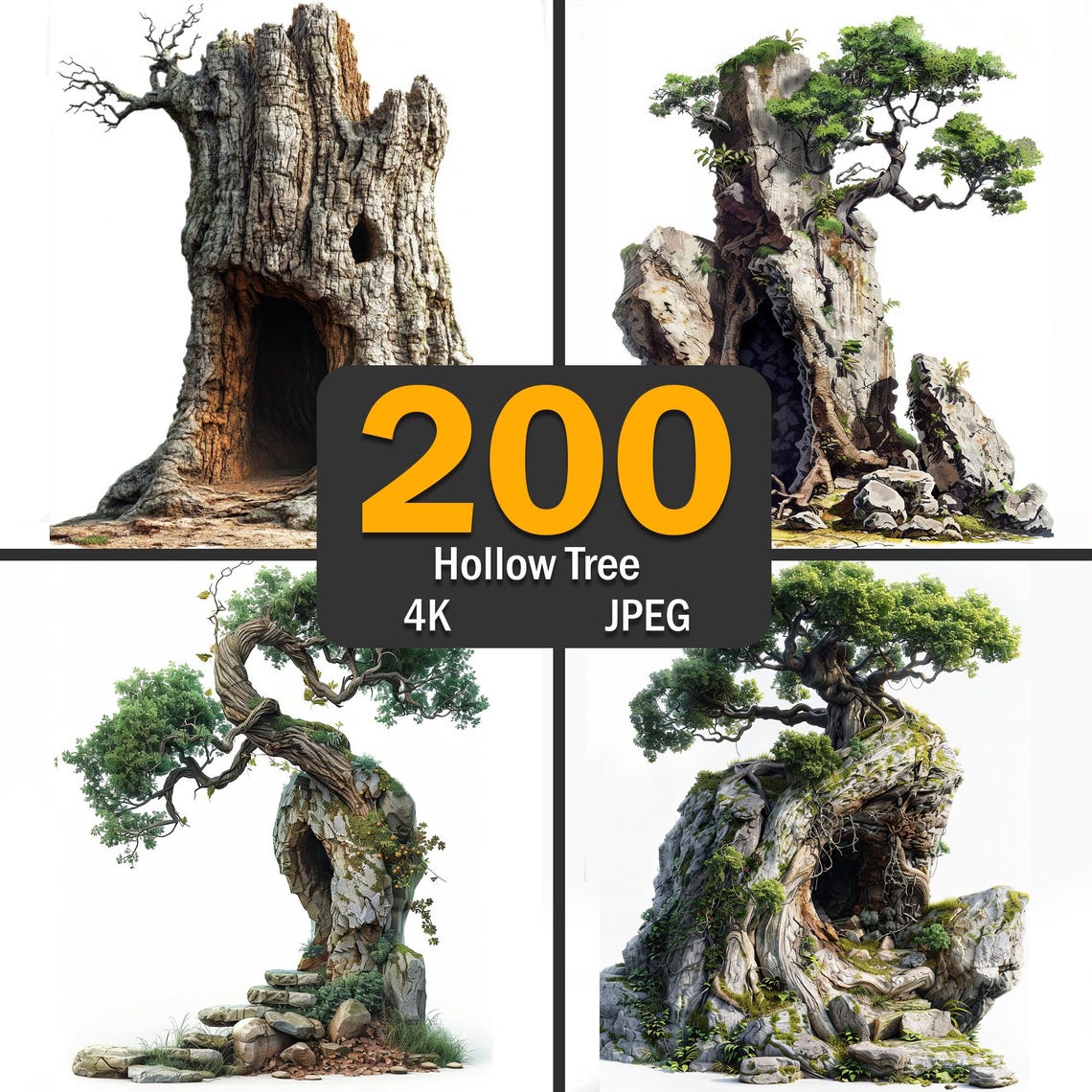 200 Majestic Images -hollow Tree Collection - Etsy