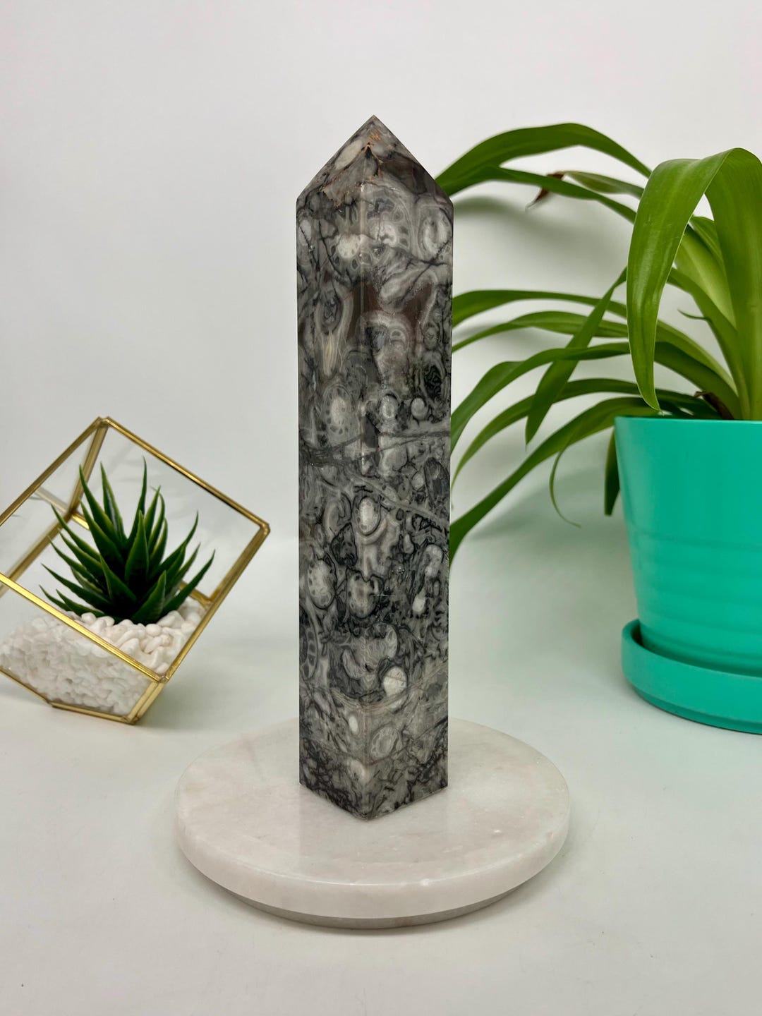 RARE Orthoceras Ammonite Tower – 178mm Fossil Crystal Point for Ancient ...