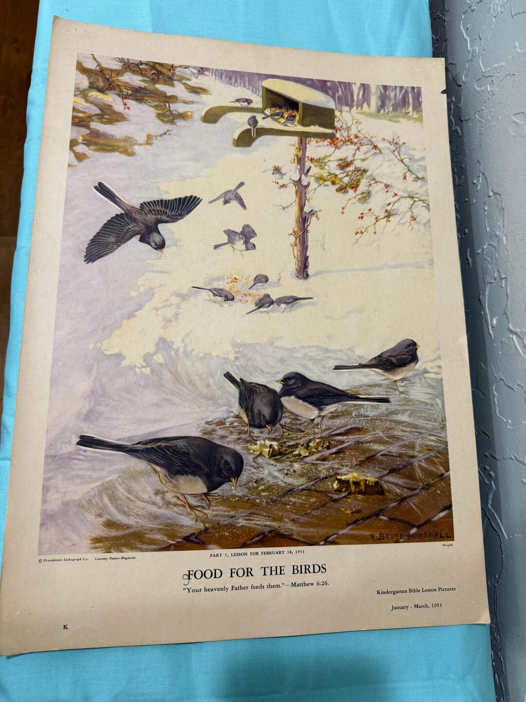 Super Vintage Lithograph Titled "food for the Birds" by R. Bruce ...