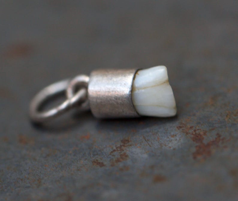 Tiny Tooth Pendant Charm in Sterling Silver, Baby Tooth, Milk Teeth ...