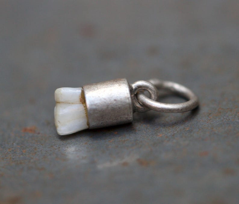 Tiny Tooth Pendant Charm in Sterling Silver, Baby Tooth, Milk Teeth ...