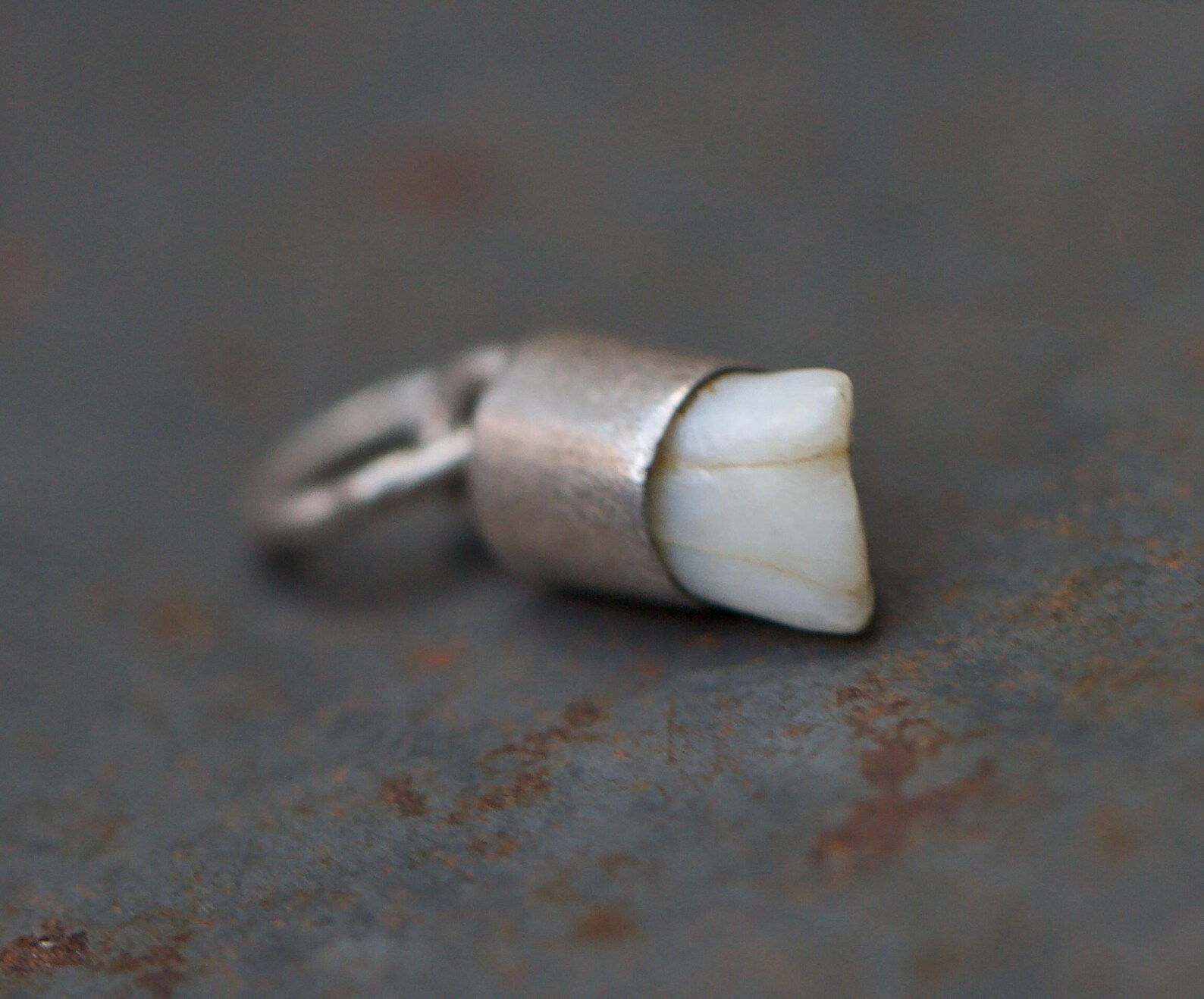 Tiny Tooth Pendant Charm in Sterling Silver, Baby Tooth, Milk Teeth ...