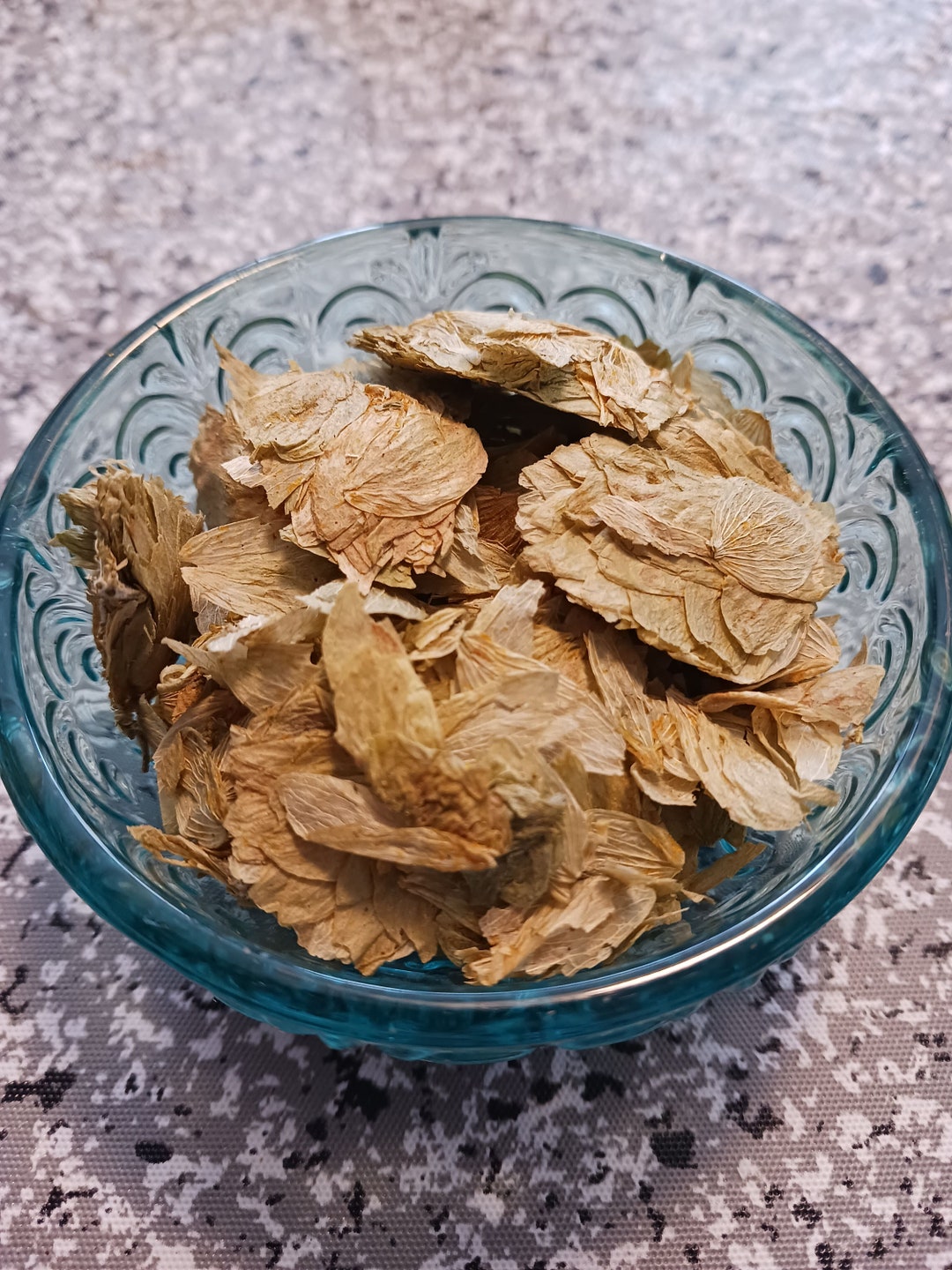 Whole Hops - Etsy