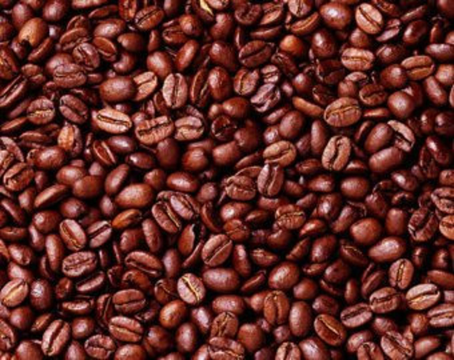 8 Oz. Holiday Grogg Whole Bean Coffee - Etsy