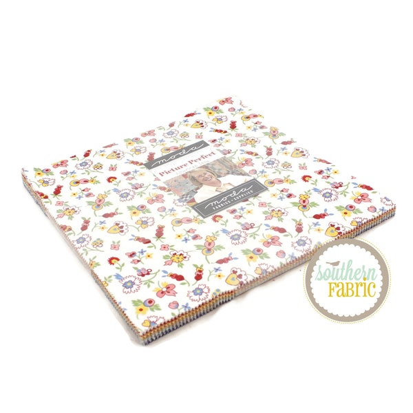 American Jane Picture Perfect Fabric - Etsy