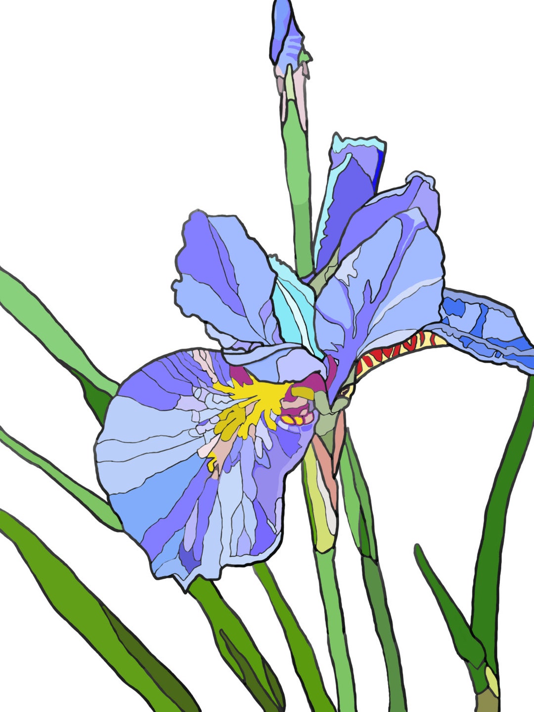 Iris Art Print: Limited Edition Floral Dye Print on Rag Paper - Etsy