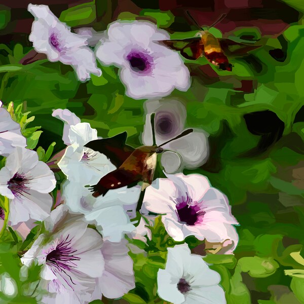 Hummingbird Moth - Etsy