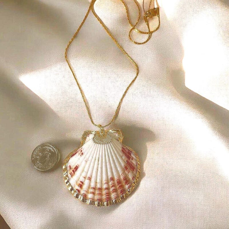 Scallop Shell Necklace - Etsy