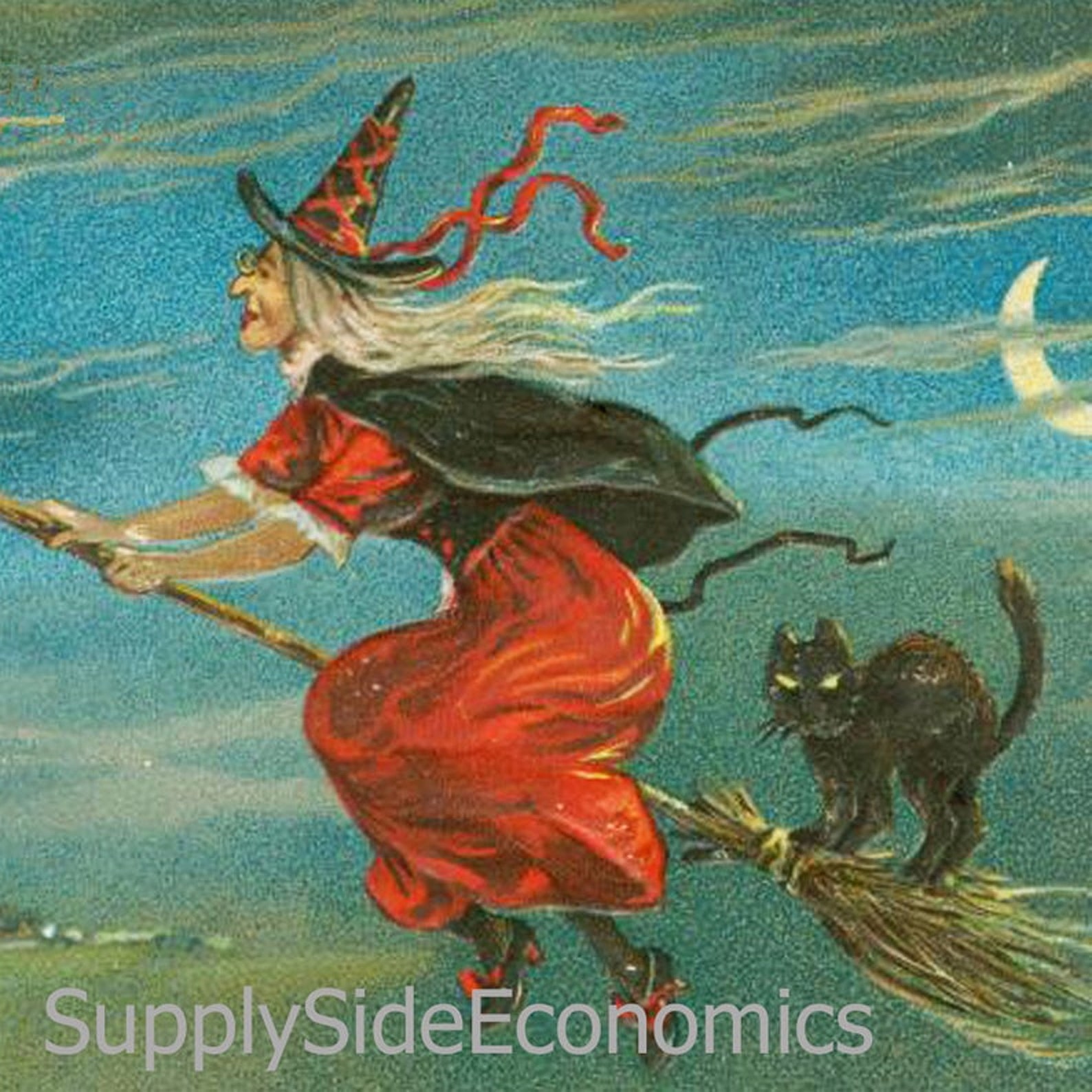 Halloween Witch on Broom Witch and Black Cat Witch and - Etsy