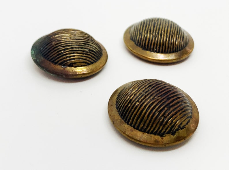 Fancy Domed Brass Button With Intricate Wire Top Work Unusual | Etsy