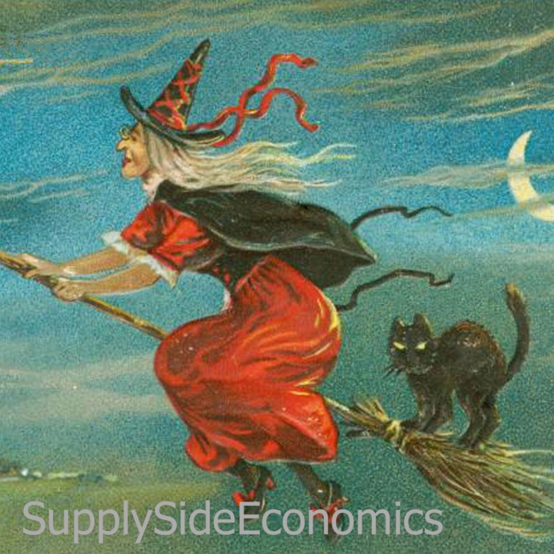 Halloween Witch on Broom Witch and Black Cat Witch and - Etsy