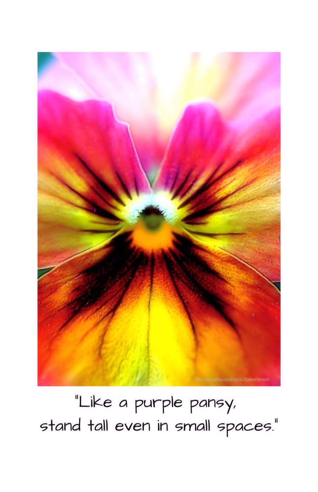 Inspirational Purple Pansy Wall Art | 5 Printable Quotes | 11"x17 ...