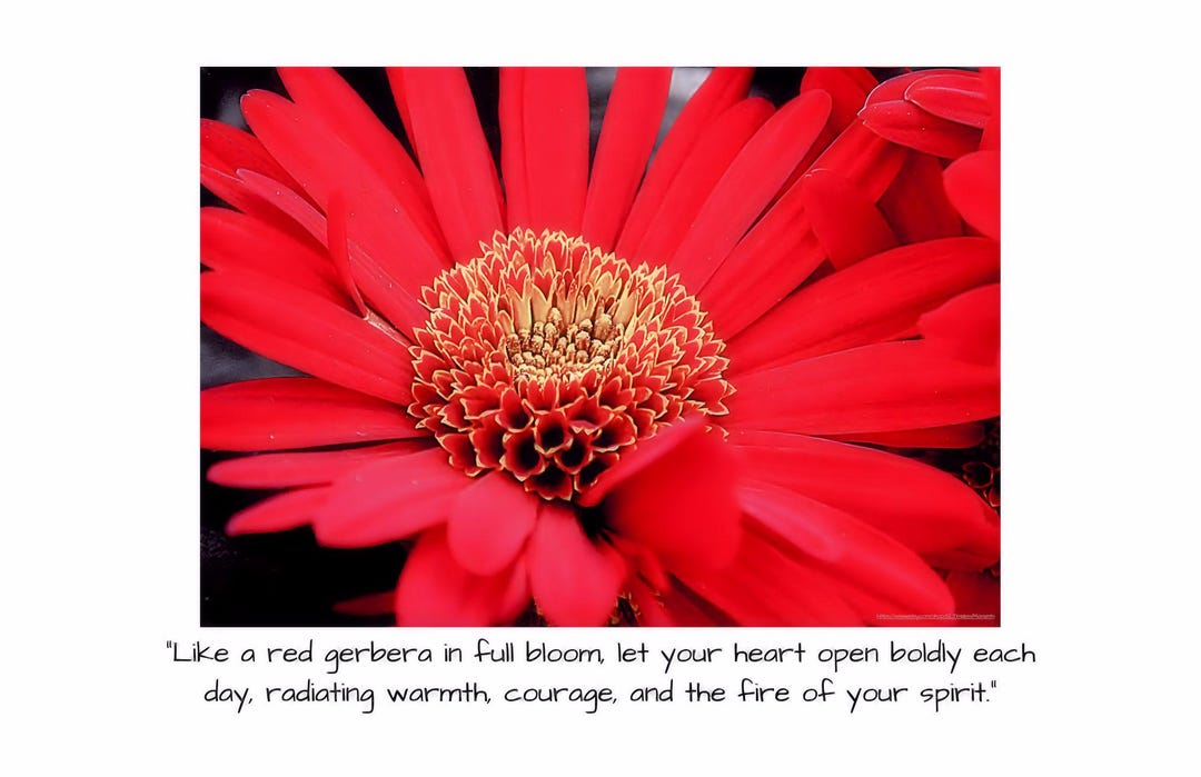 Inspirational Red Gerbera Daisy Wall Art | 5 Printable Quotes | 17"x11 ...