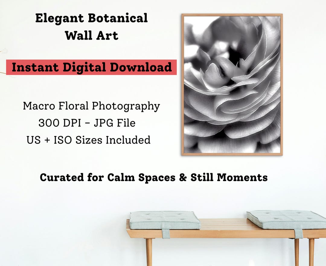 BW Buttercup Macro Print | Floral Wall Art Printable | Botanical Macro ...