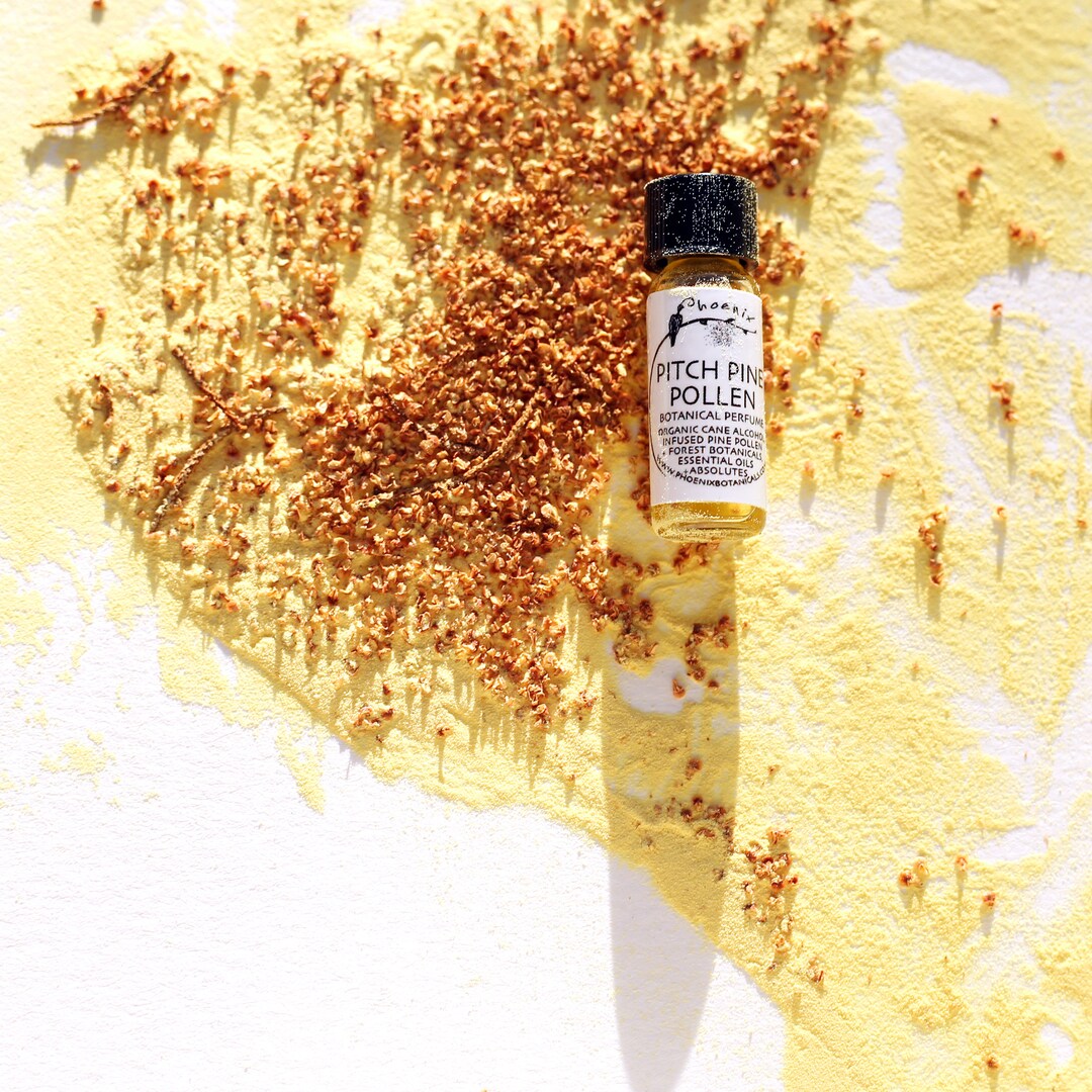 Pitch Pine Pollen - a Playfully Haunting Tree-flower & Pine Pollen ...