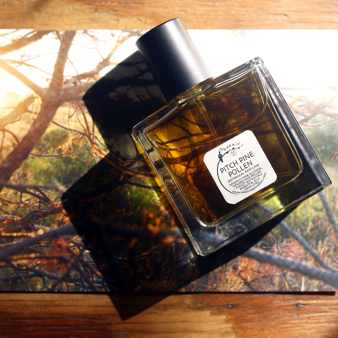 Pitch Pine Pollen - a Softly Haunting Tree-flower & Pine Pollen Amber ...