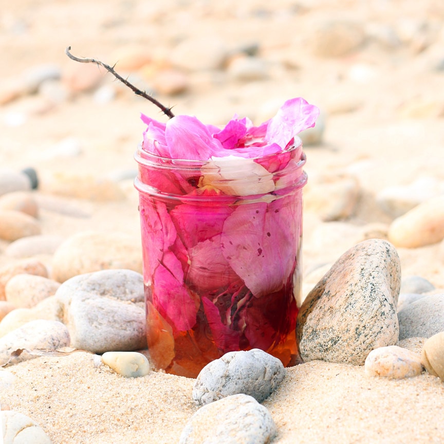 Triple Rose Solstice Elixir - Drinkable Fresh Rose Potion ~ Solstice ...