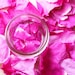 Triple Rose Solstice Elixir - Drinkable Fresh Rose Potion ~ Solstice ...