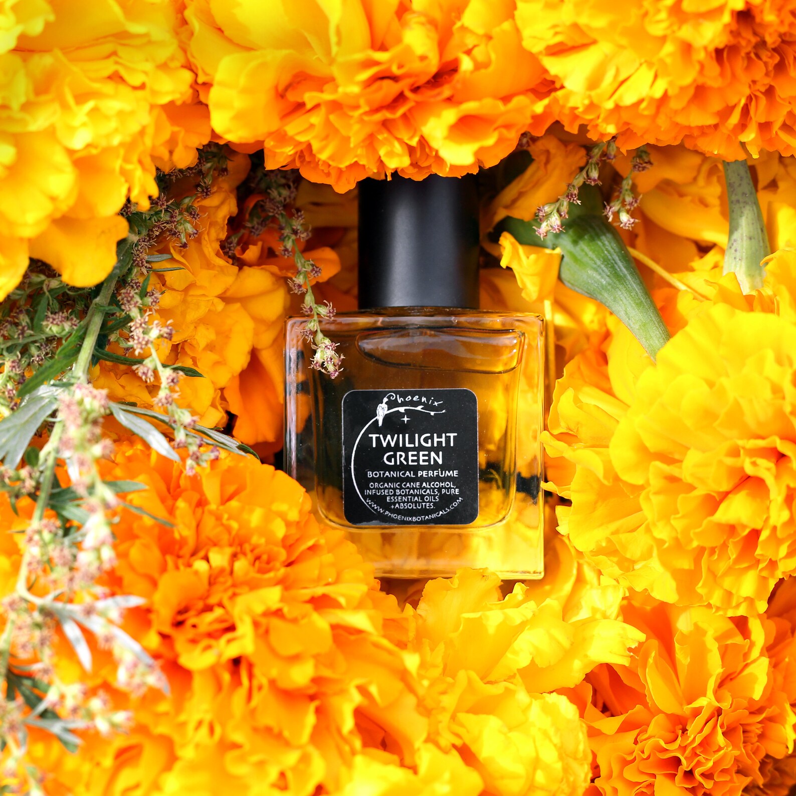 Twilight Green - Wild, Meditative Noir, Dark Floral - Botanical Perfume ...