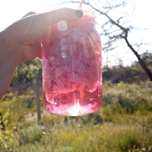 Triple Rose Solstice Elixir - Drinkable Fresh Rose Potion ~ Solstice ...
