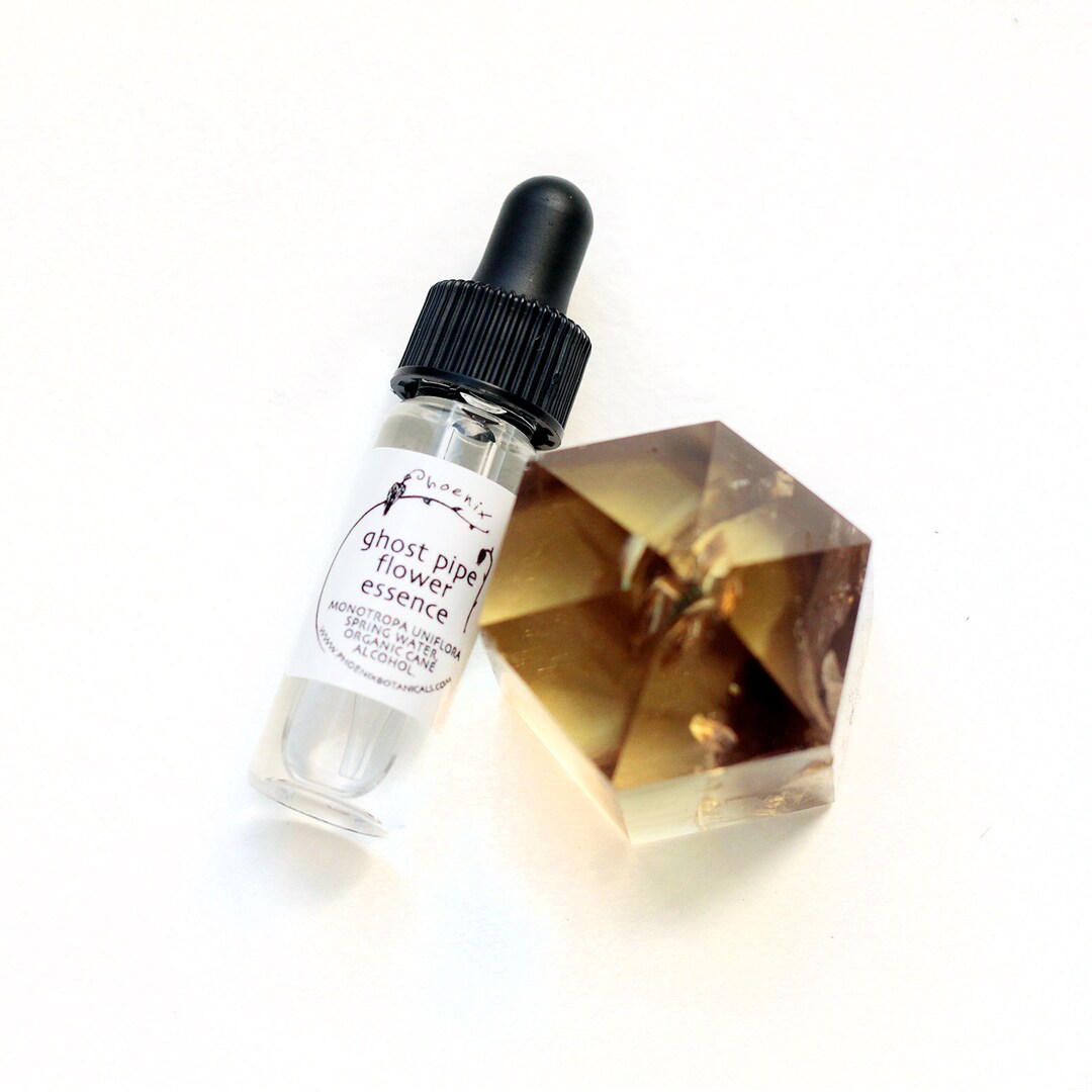 Ghost Pipe Flower Essence Giant Flowers Edition 2023 Chose Your Size - Etsy