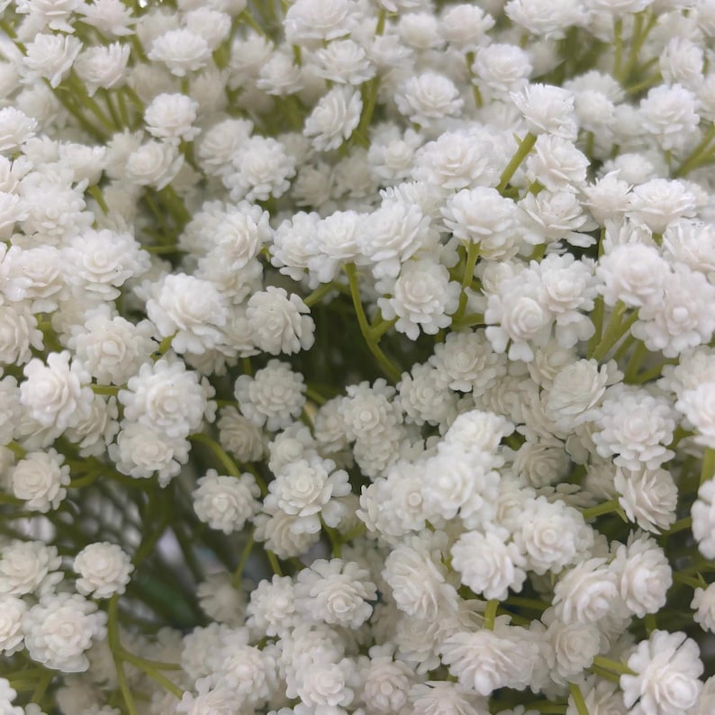 Baby’s Breath Flower Add On - Etsy