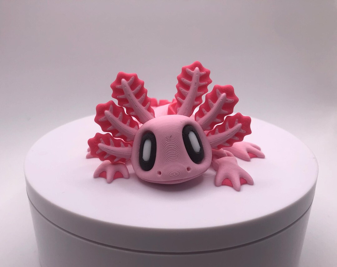 Blob Axolotl – Articulated 3D Printed Fidget Toy - Etsy