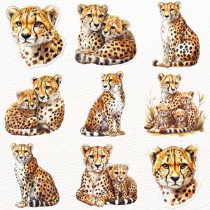 26 PNG Realistic Cheetah Clipart – Cartoon Cheetahs, Safari Animals ...