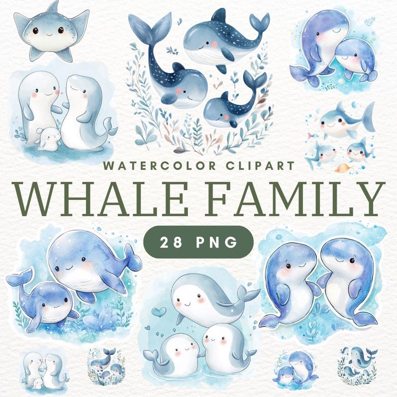 28 PNG Family Whale Clipart - Sea Creatures, Ocean Animals, Marine Life ...