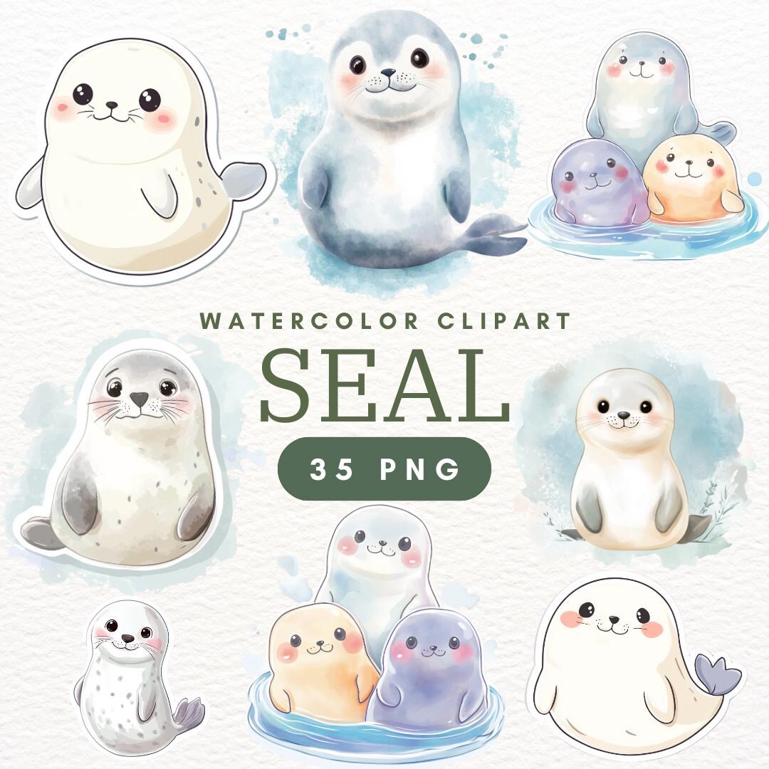 35 Cute Seal Clipart PNG - Ocean Clipart and Arctic Animals Watercolor ...