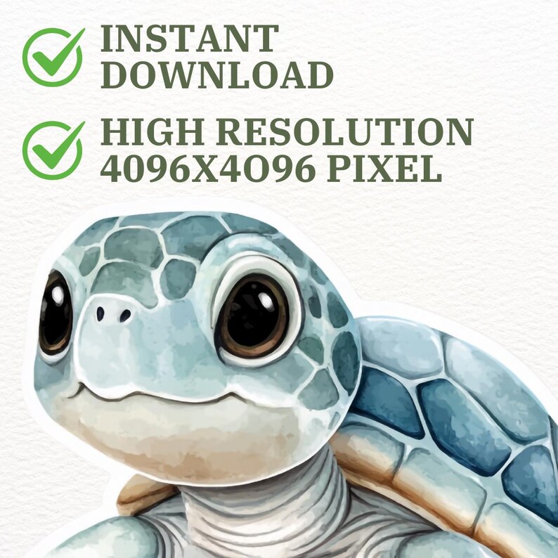 21 Cute Turtle Clipart PNG - Watercolor Turtle Graphic&illustration ...