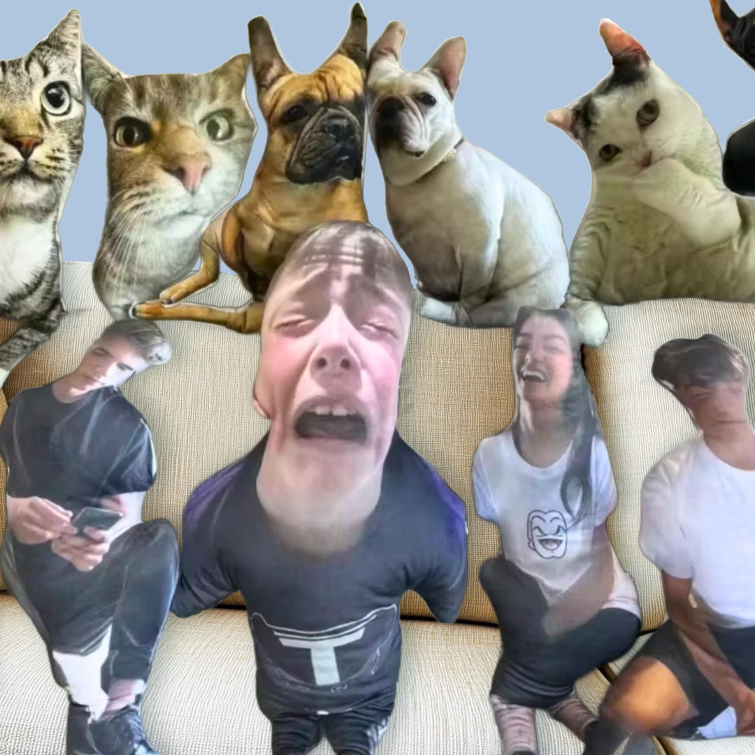 Custom April Fools Day UGLY PILLOW for Friend, Gift for Friend ...