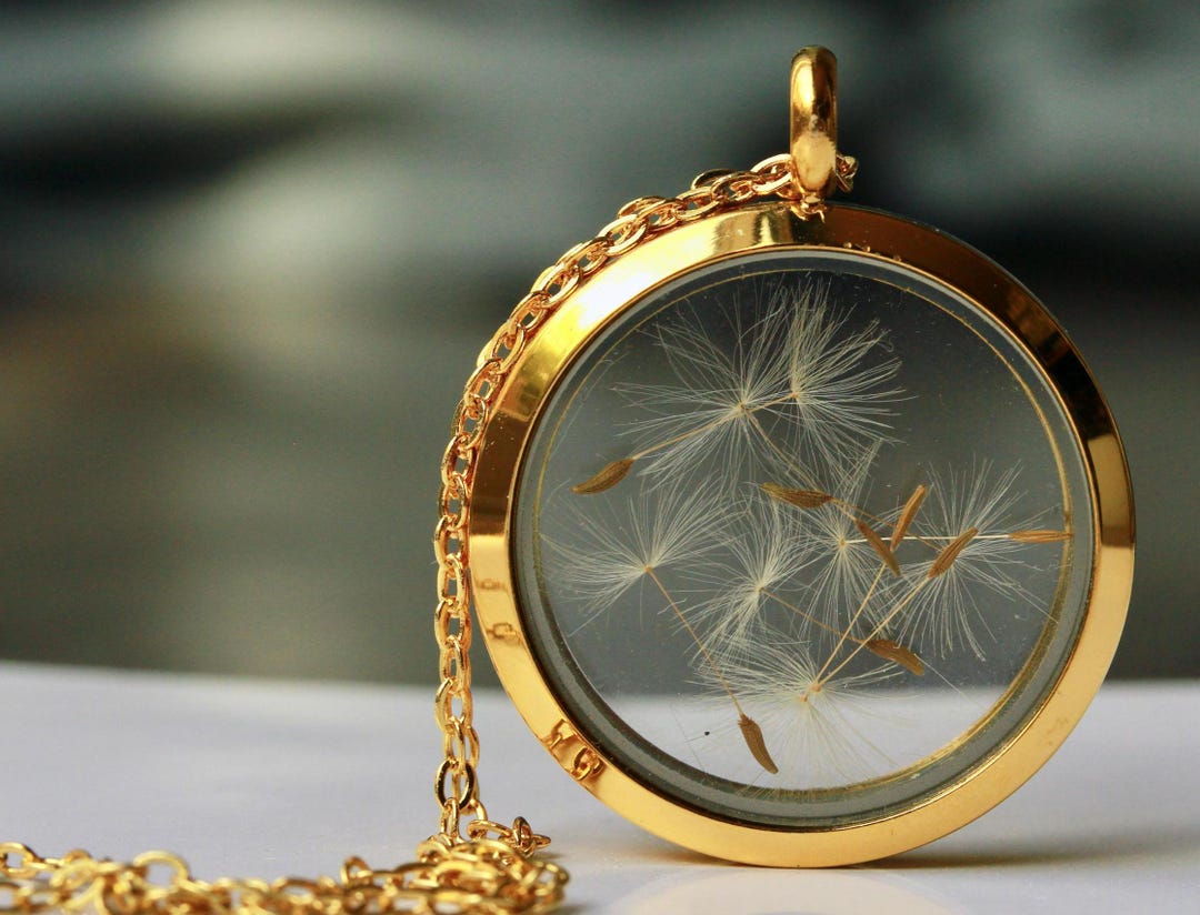 Locket Dandelion Necklace Stainless Steel With Glass Window as a Wish ...