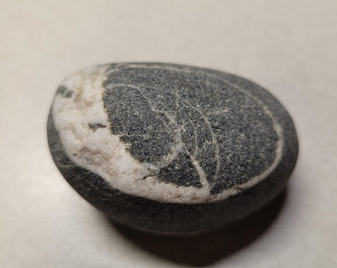 Alaskan Egg-shaped Basalt and Quartz Beach Rock - Etsy