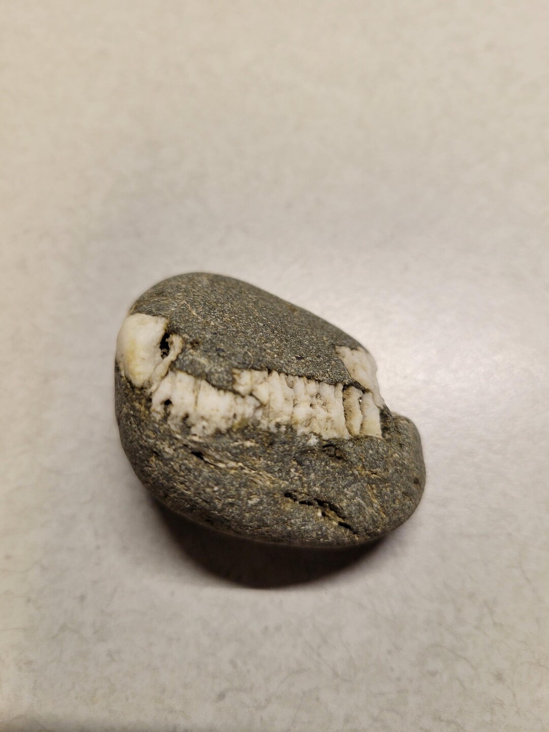 Alaska Rock With Jagged Band of Quartz - Etsy