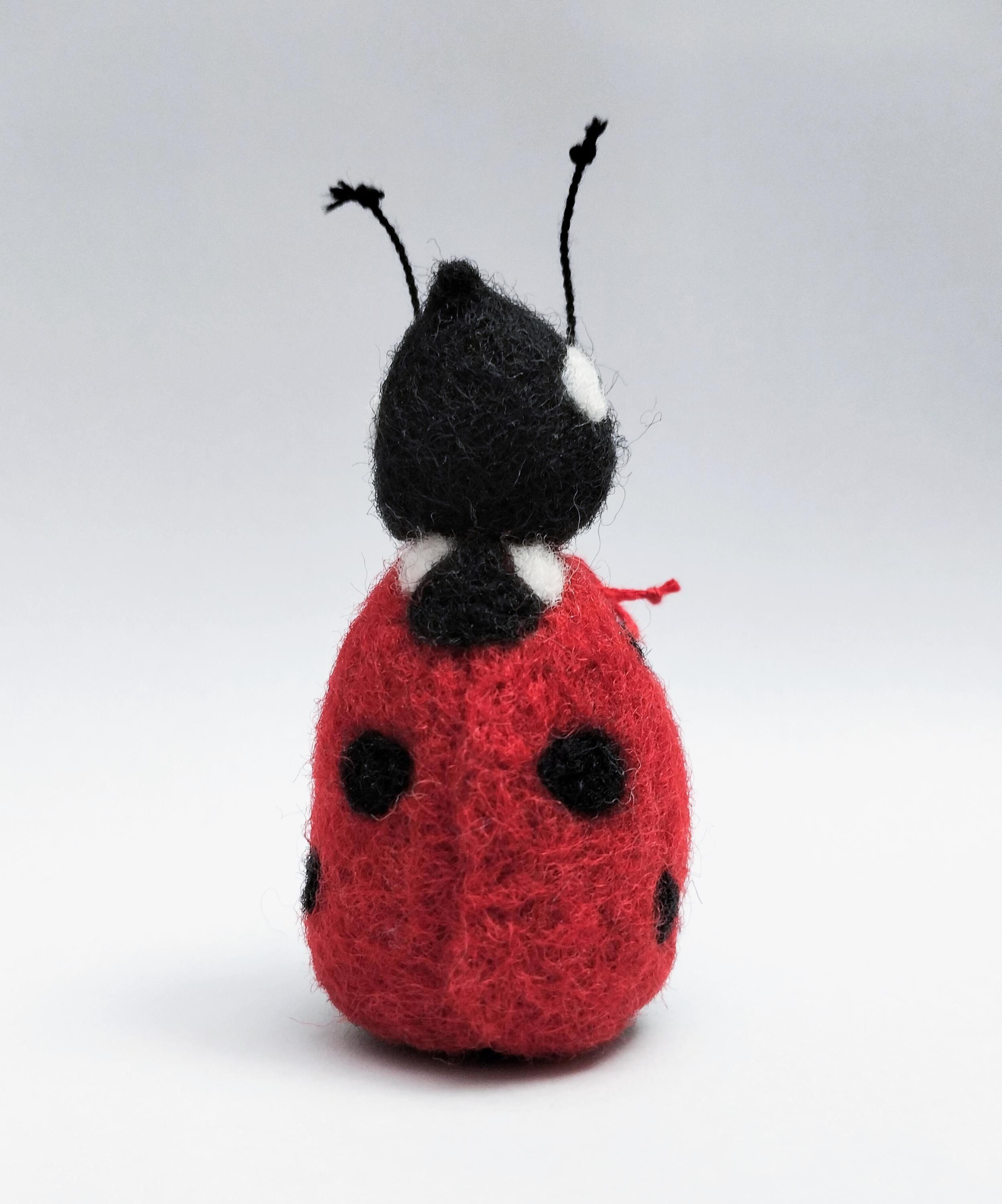 Spring Fairy, Felted Fairy, Waldorf Inspired, Spring Sprite, Felted Ladybug, Spring Gnome ...