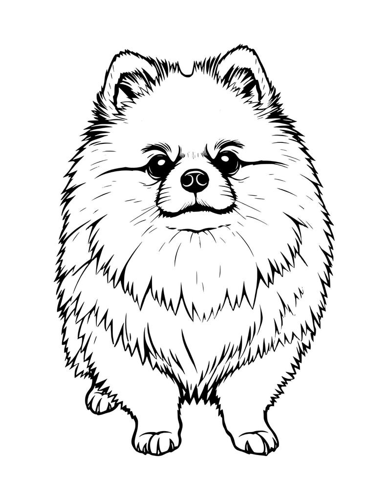 Wild and Free, Paws and Howls, a Coloring Journey of Canine Spirits ...