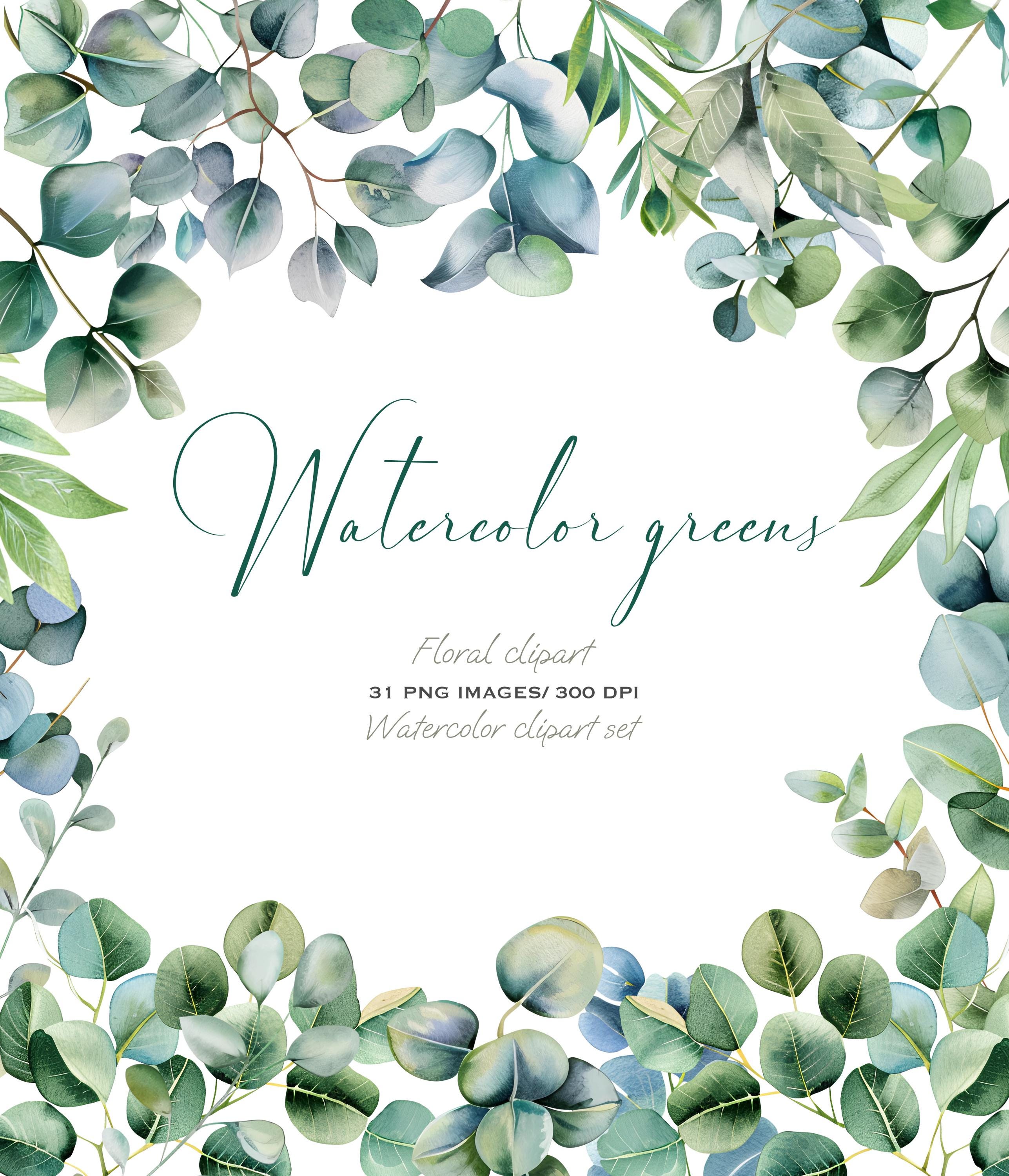 Watercolor Eucalyptus Leaves Clipart: Rustic Floral Greenery for ...