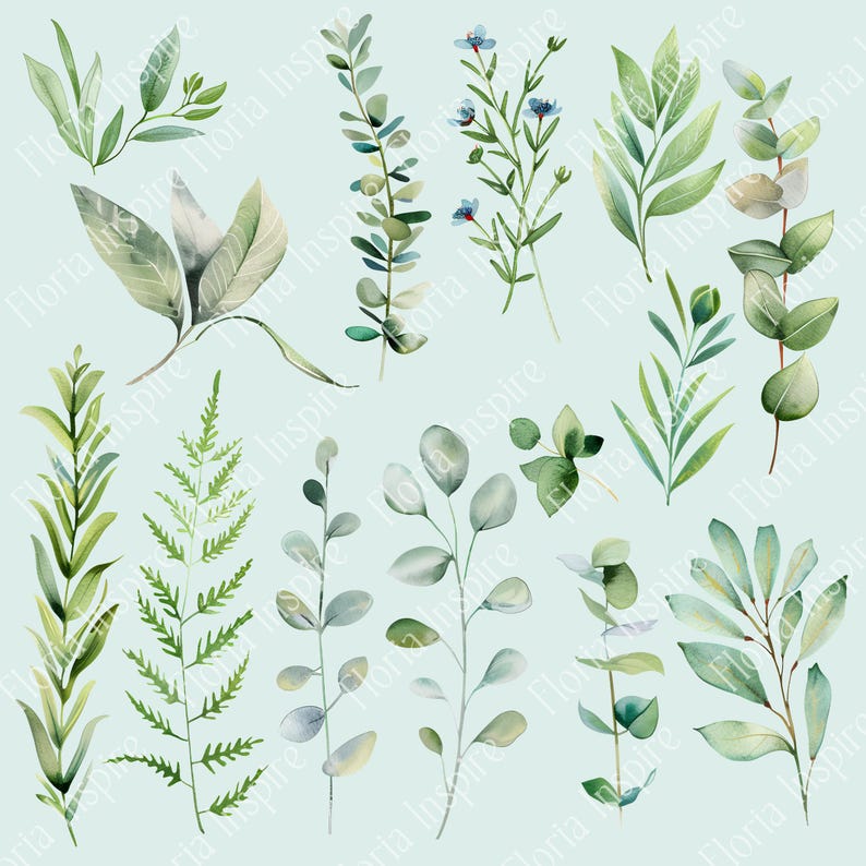 Watercolor Eucalyptus Leaves Clipart: Rustic Floral Greenery for ...