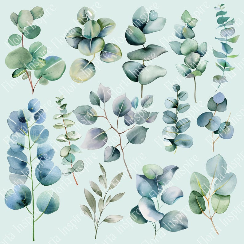 Watercolor Eucalyptus Leaves Clipart: Rustic Floral Greenery for ...