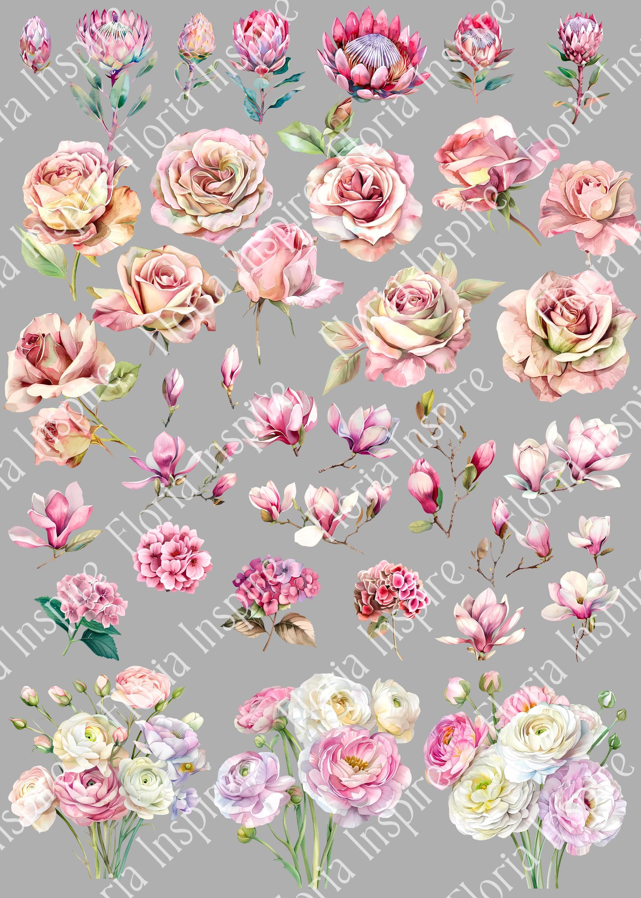 Watercolor Floral Clipart: 126 PNG Flowers & 7 Seamless Patterns for ...