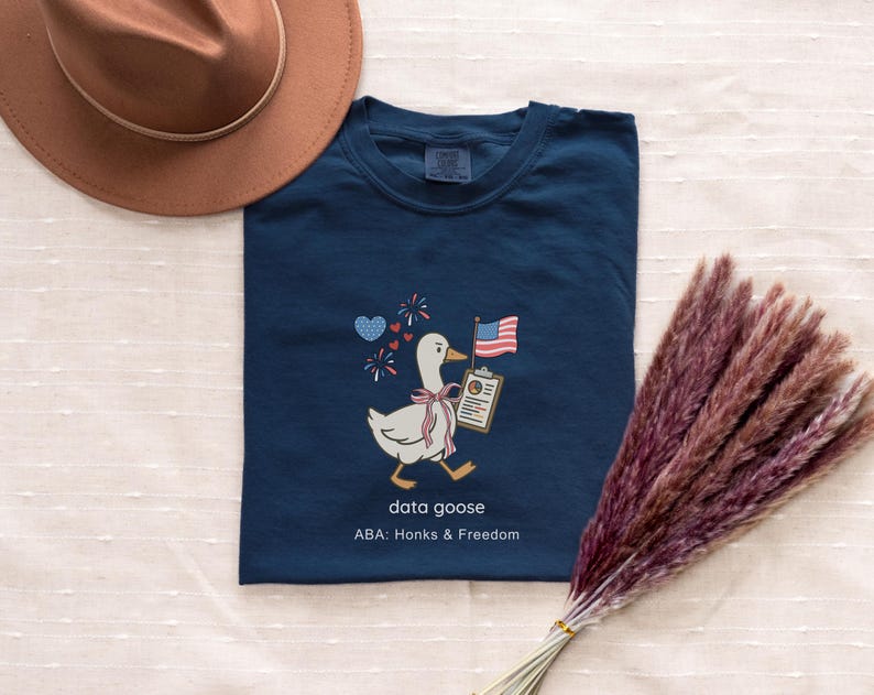 4th of July Silly Goose ABA Shirt, Bcba Shirt, RBT Gifts, ABA Shirt ...