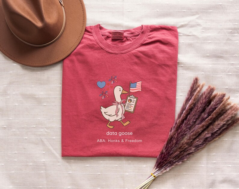 4th of July Silly Goose ABA Shirt, Bcba Shirt, RBT Gifts, ABA Shirt ...