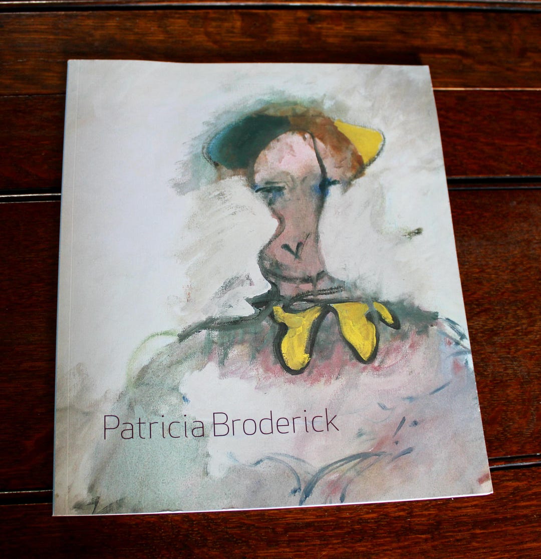 Patricia Broderick Art Book Tibor De Nagy Gallery - Softcover Modern ...
